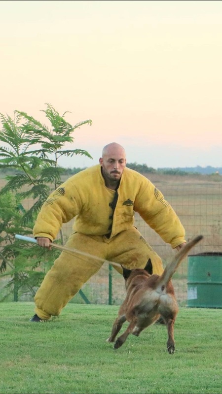 Attack Dog Bite Suit | Dog Trainer Suit UK - £1,140.00