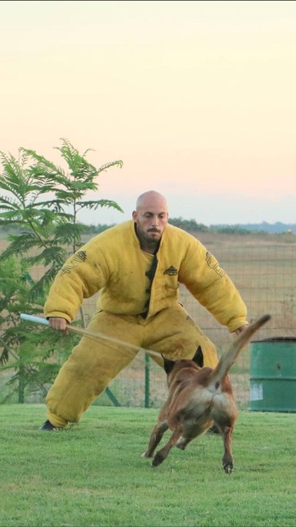 Attack Dog Bite Suit | Dog Trainer Suit UK - £986.60