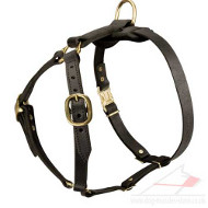 The best dog muzzles online, dog muzzles for all dog breeds