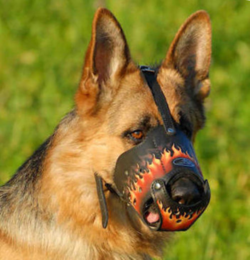 Handmade Dog Muzzle Painted Leather UK