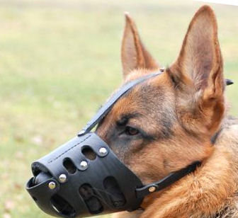 Muzzles for Dogs with Long Snout, Reliable and Soft Leather