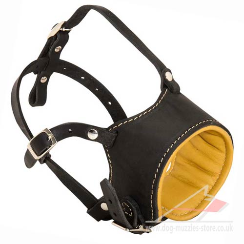 Soft Padded Leather Muzzle Loop